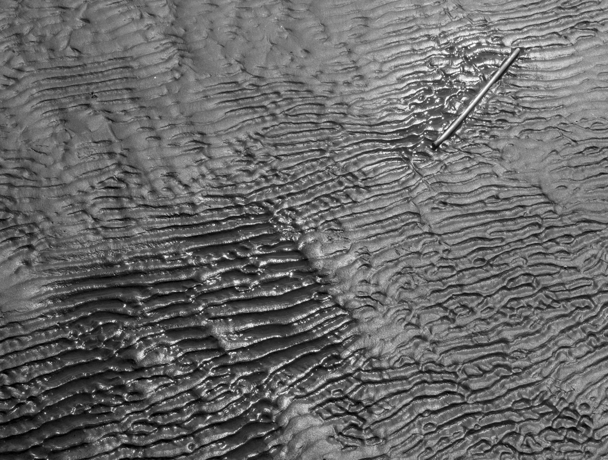 Bert Cheung Portfolio