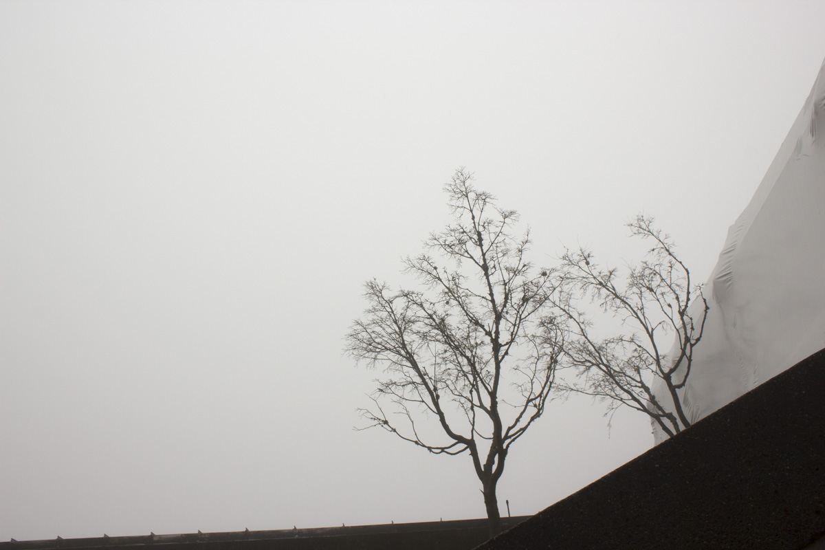 Bert Cheung Portfolio