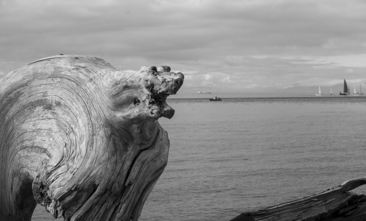 Bert Cheung Portfolio